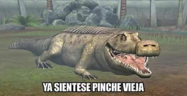 Ya sientese pinche vieja | Callese Viejo Lesbiano | Know Your Meme