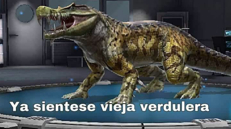 Ya sientese vieja verdulera | Callese Viejo Lesbiano | Know Your Meme