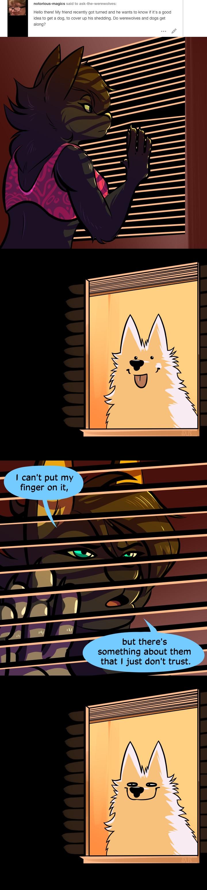 Werewolves about dogs | Dogs | Know Your Meme