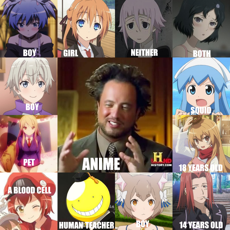 Never Trust Anime | Anime / Manga | Know Your Meme