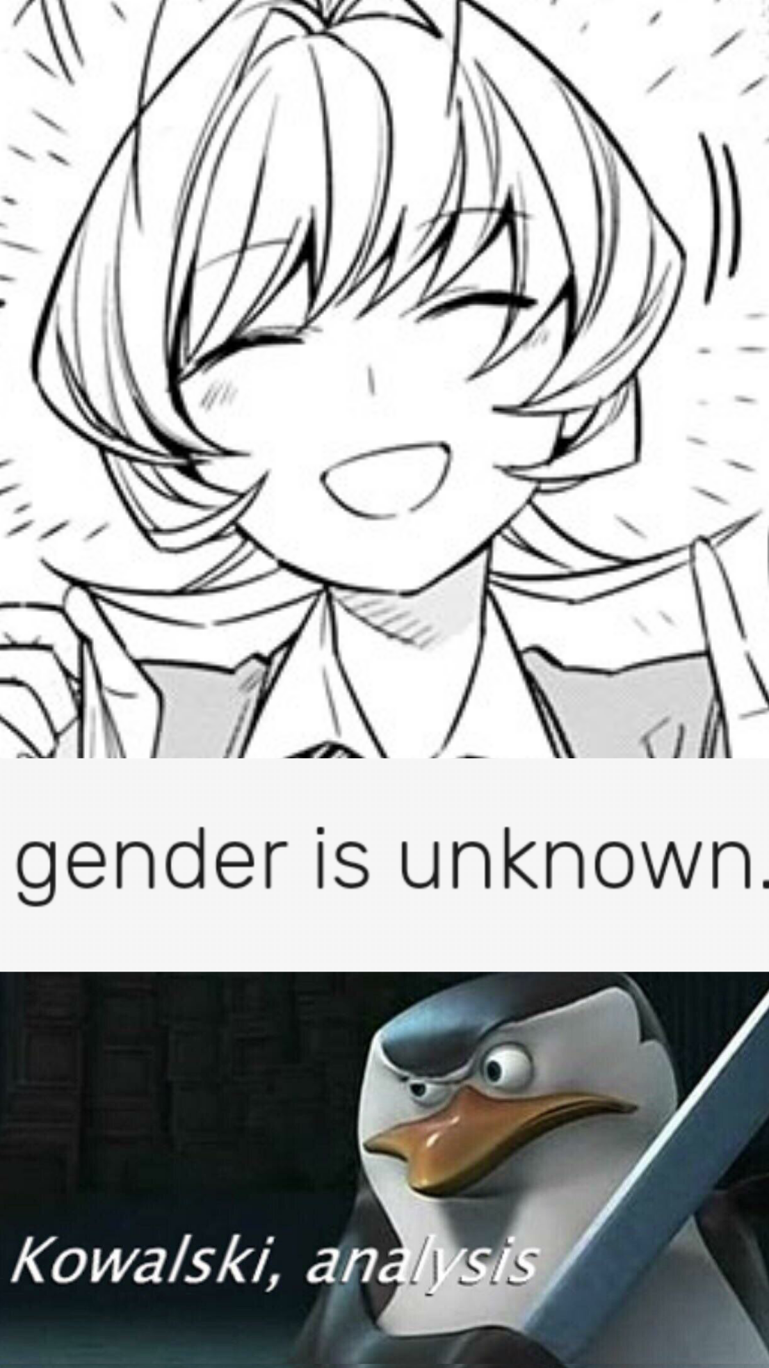 More Research Must Be Done Kowalski Know Your Meme