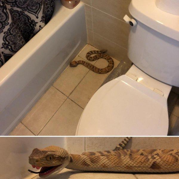 is so happy to see you | Snakes | Know Your Meme