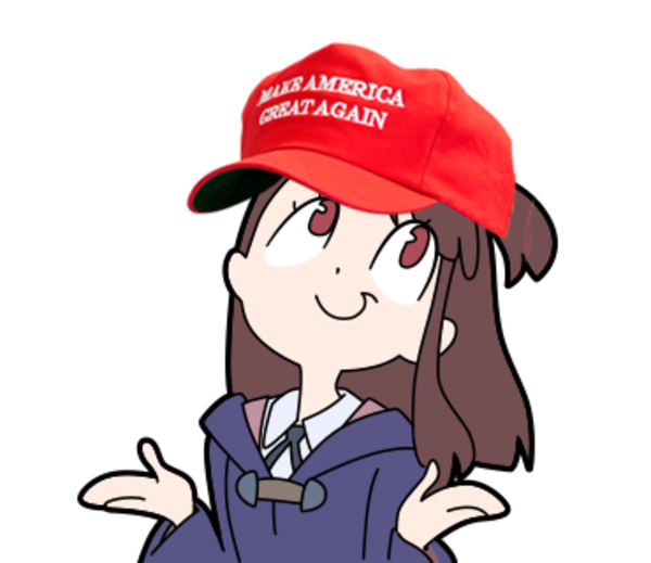 akko celebrates 2 yr elections | #TrumpAnime / Rick Wilson Controversy ...