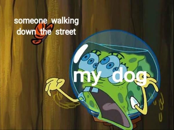 Dog | SpongeBob SquarePants | Know Your Meme