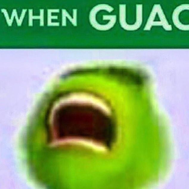 Guac | When Guac Is Extra | Know Your Meme