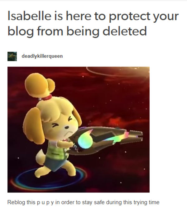 Protecc Doggo | Tumblr | Know Your Meme