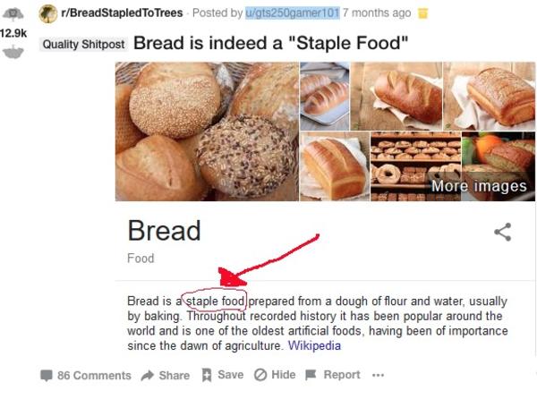 Staple Food | /r/BreadStapledtoTrees | Know Your Meme