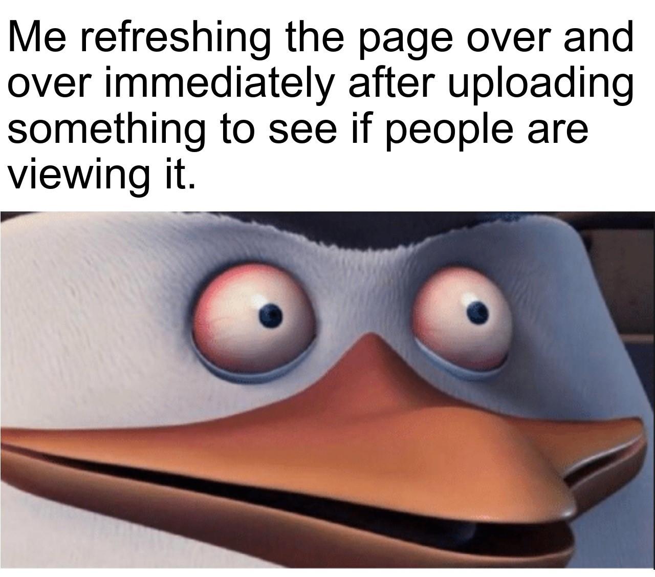 Starting out on a social media site be like | Penguins Of Madagascar ...