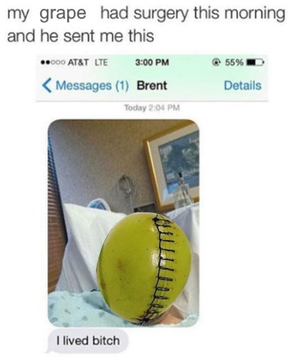 My grape had surgery this morning and he sent me this | They Did ...