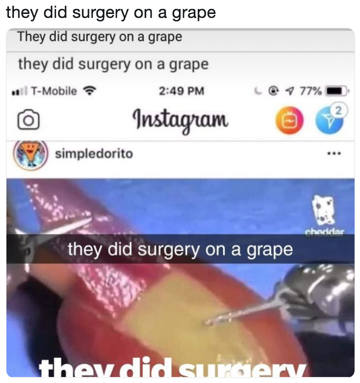 grape surgery tweet | They Did Surgery On a Grape | Know Your Meme