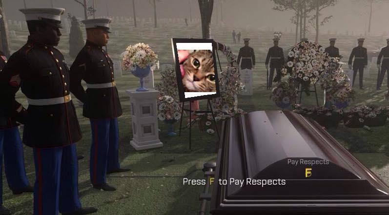 F | ShitpostBot 5000 | Know Your Meme