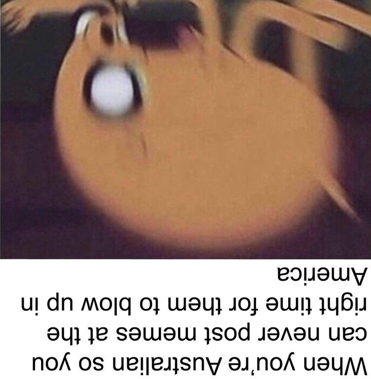 When you're australian | Jake Bit By Spider / Screaming Jake | Know ...