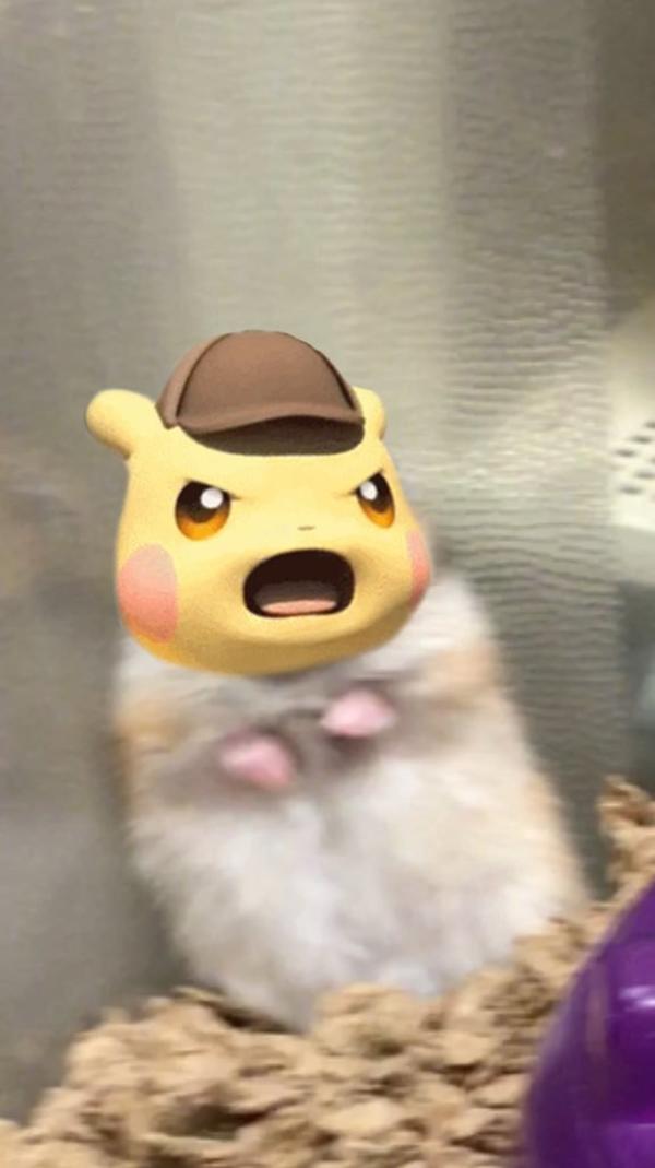 Screaming Pikachu | Scared Hamster | Know Your Meme