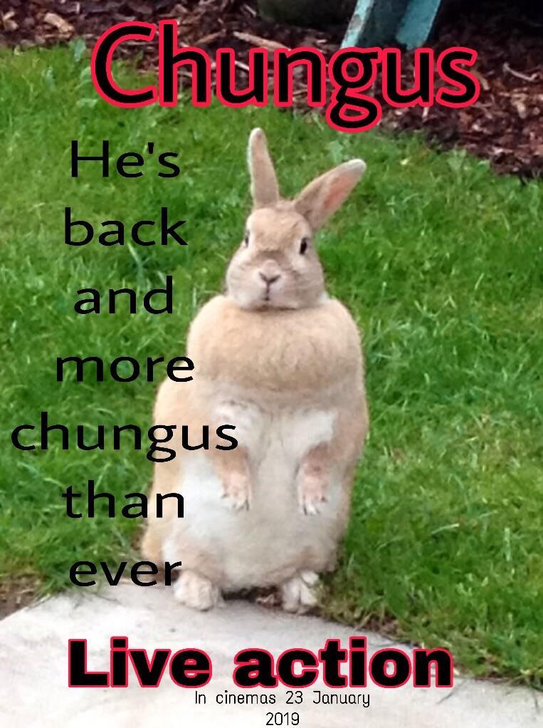 New chungus live action | Big Chungus | Know Your Meme