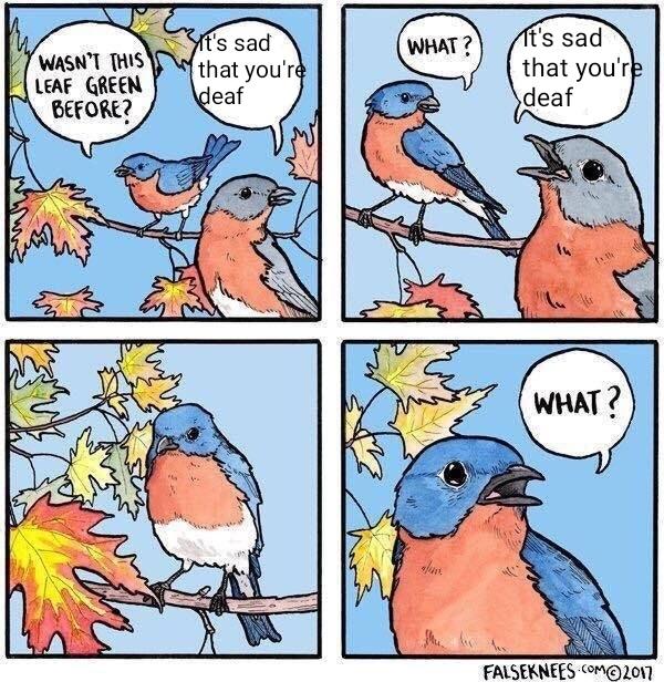 It's sad that you're deaf | Know Your Meme