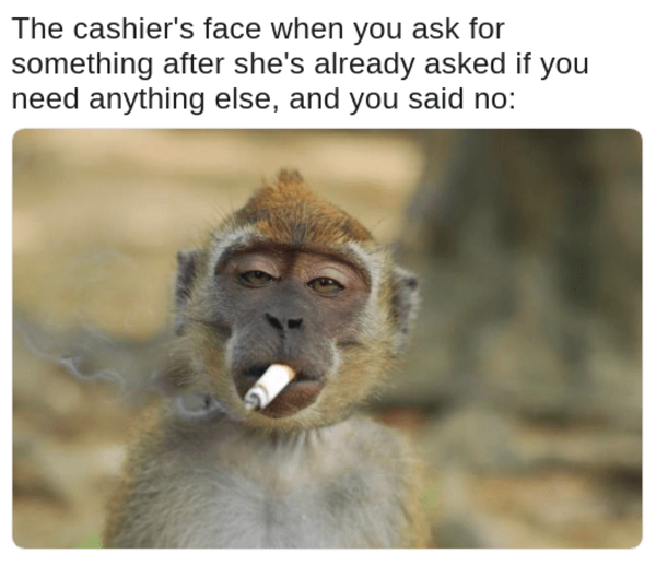That look you get from the Cashier | Animals | Know Your Meme