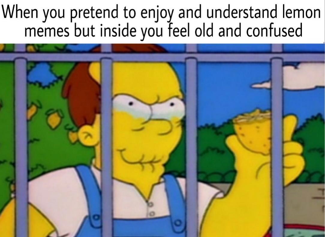 Lemons! | Lemon Car | Know Your Meme