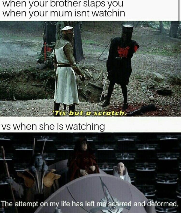 Oh Brave Sir Robin | Prequel Memes | Know Your Meme