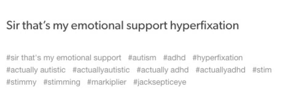 Hyperfixation | Sir, That's My Emotional Support | Know Your Meme