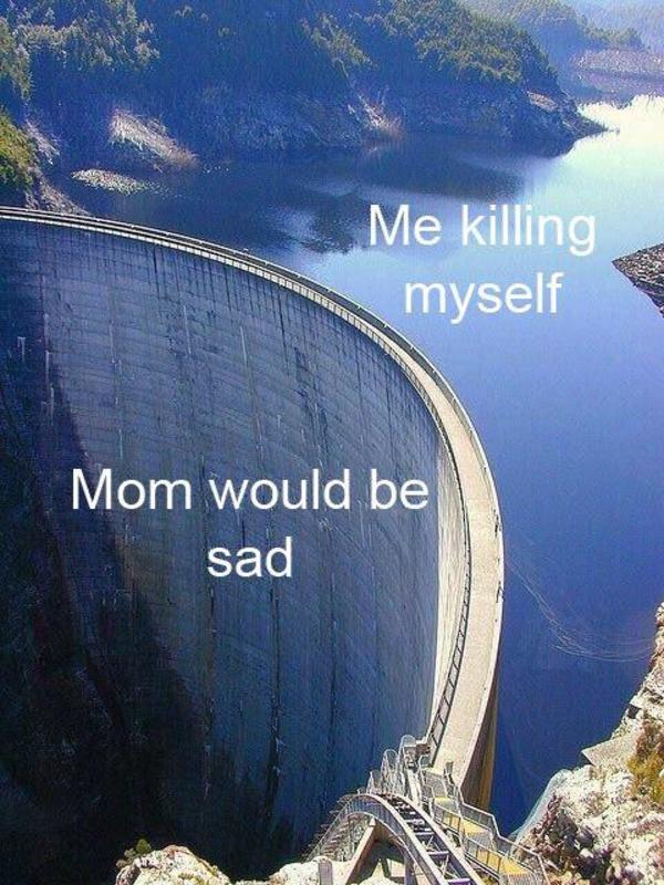 But mom would be sad | Mom Would Be Sad | Know Your Meme