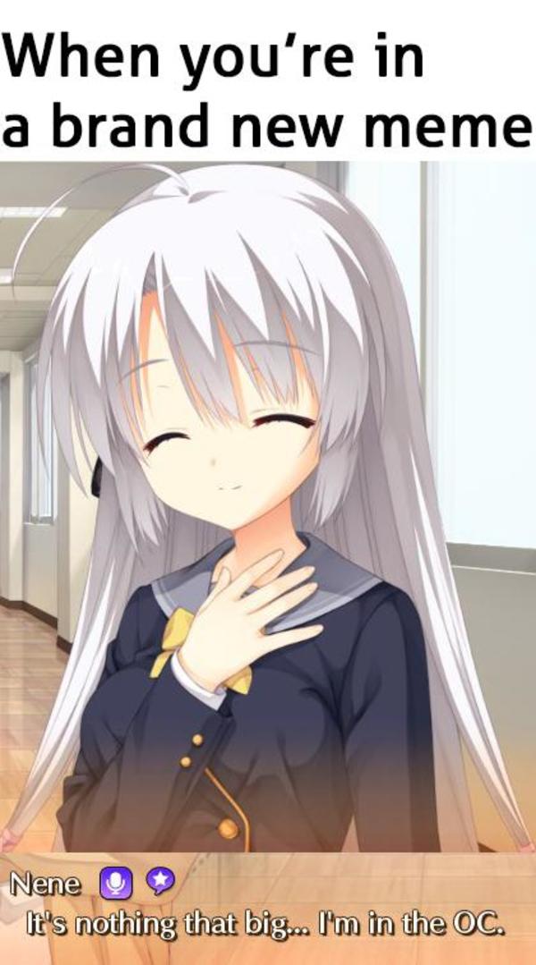 she's very proud | Anime / Manga | Know Your Meme