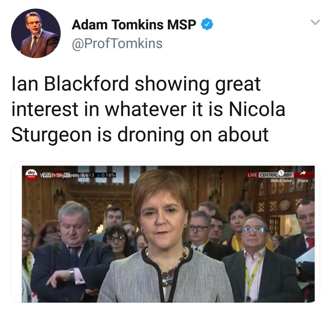 NICOLALOBBY4 | Crowding Around Sturgeon | Know Your Meme