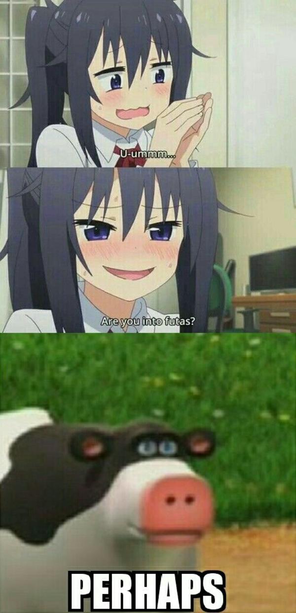 YES! | Perhaps | Know Your Meme