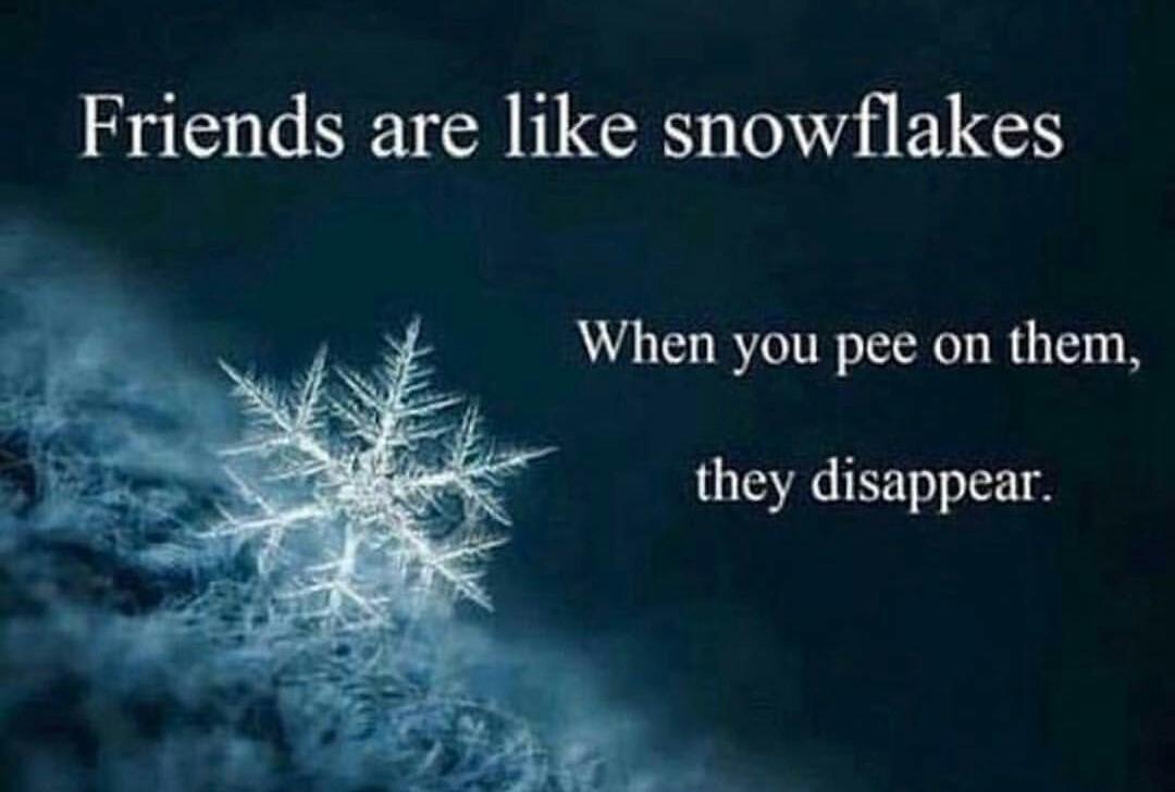 Friends are like snowflakes | Inspirational Photo Quotes | Know Your Meme