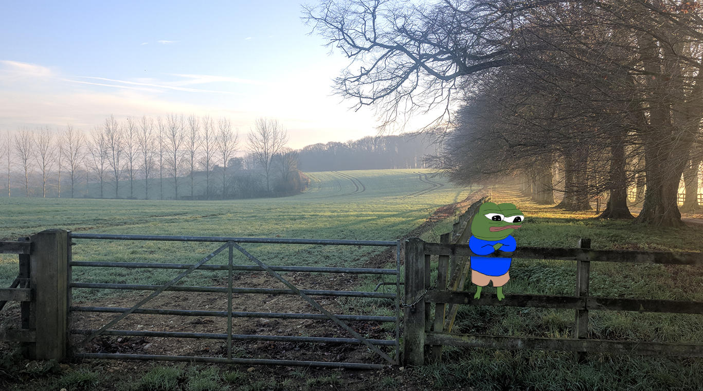 Fence | Apu Apustaja | Know Your Meme