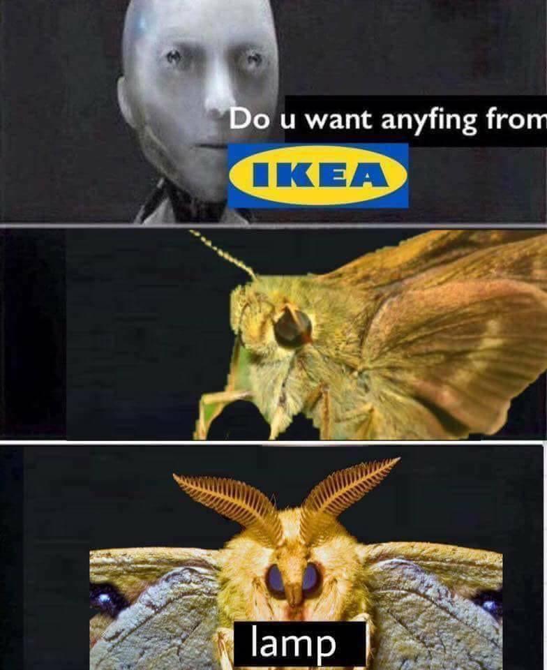 iMoth | Do U Want Anyfing From Macdondald / Borgar | Know Your Meme