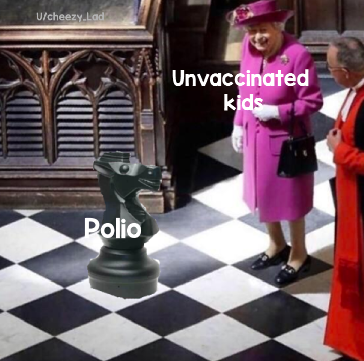 unvaccinated kids | Queen Elizabeth Chess Moves | Know Your Meme