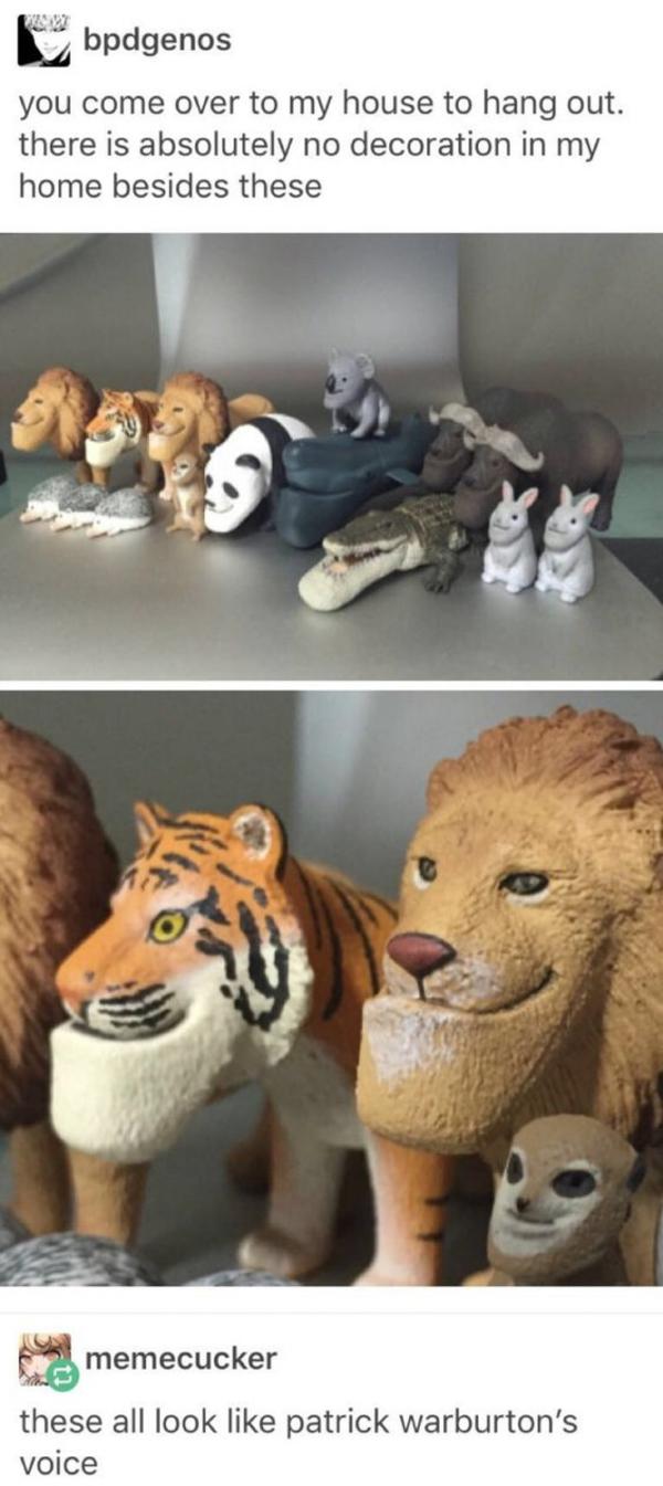 Hey,Peter | Tumblr | Know Your Meme