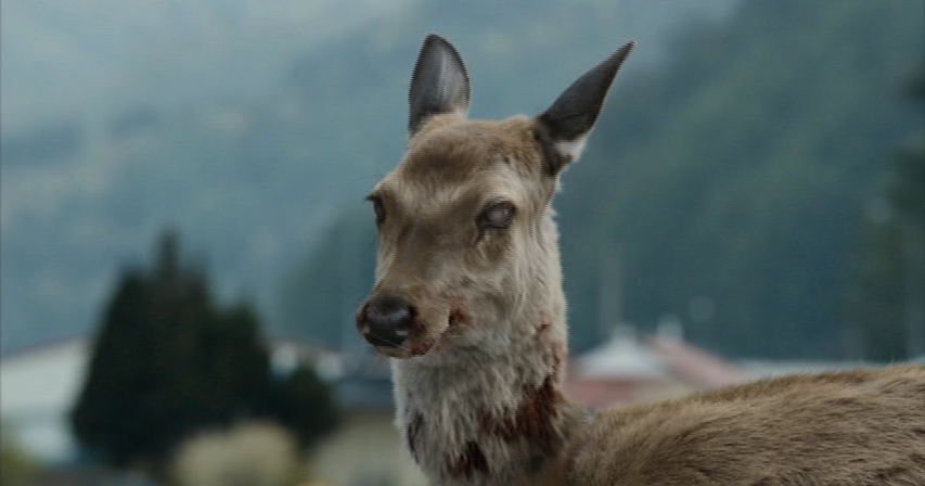 Still Image From Zombie Film Train to Busan | Zombie Deer Disease ...