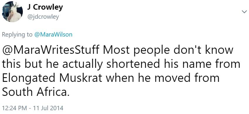 Elongated Muskrat | Muskposting / Elon Tusk | Know Your Meme