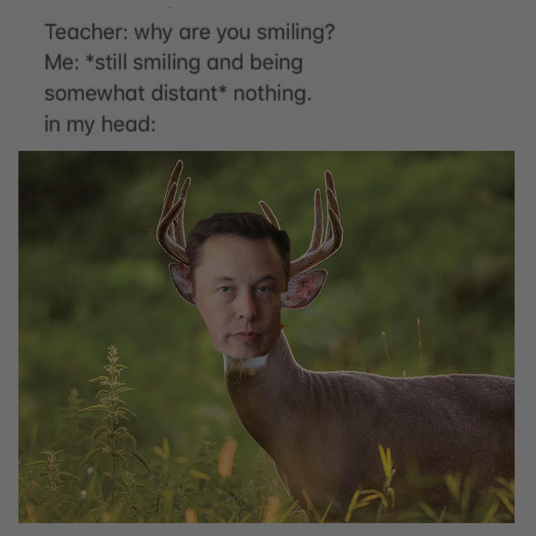 Elon musk | Muskposting / Elon Tusk | Know Your Meme