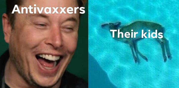 Its real!! | Elon Musk Laughing at Dead Deer | Know Your Meme