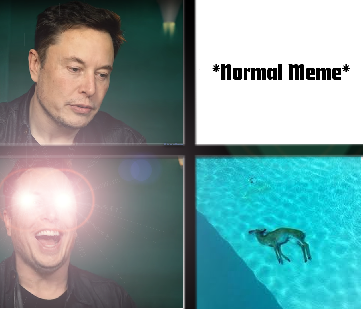 Musky Like | Elon Musk Laughing at Dead Deer | Know Your Meme