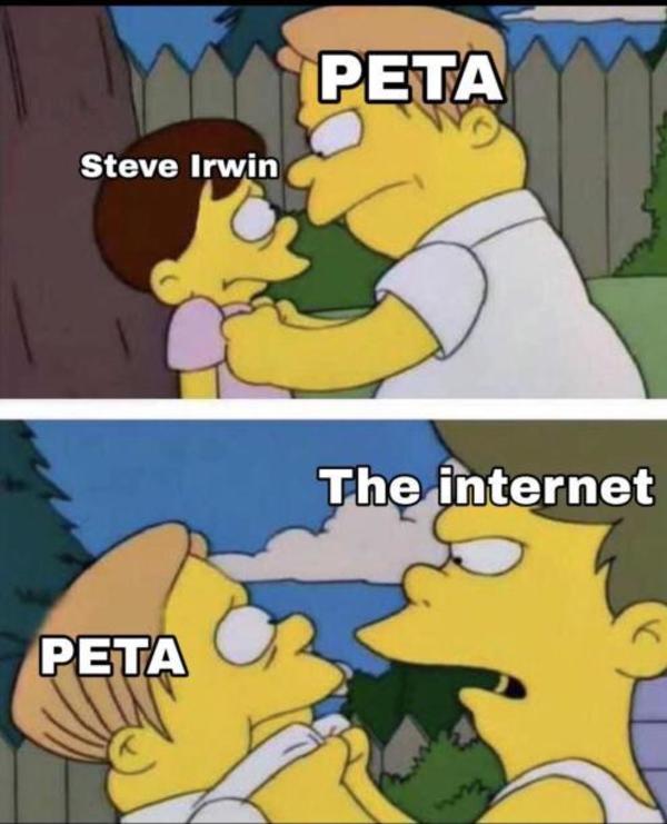 crush them | Steve Irwin | Know Your Meme