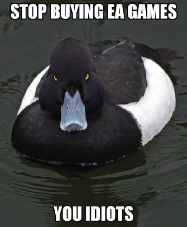 EA | Angry Advice Mallard | Know Your Meme
