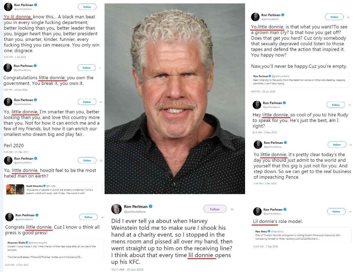 Perlman's "Donnie" tweet | Ron Perlman's "Lil Donnie" Trump Tweets ...