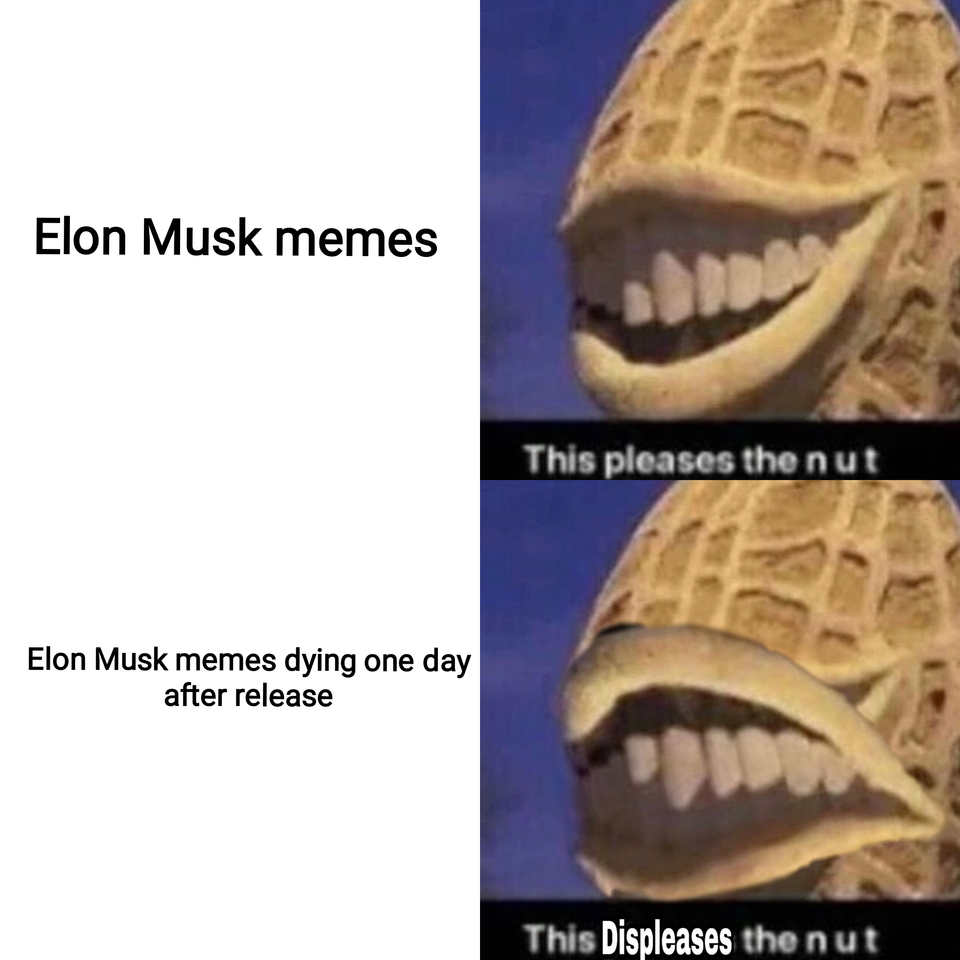 Elongated Muskrat | This Pleases the Nut | Know Your Meme