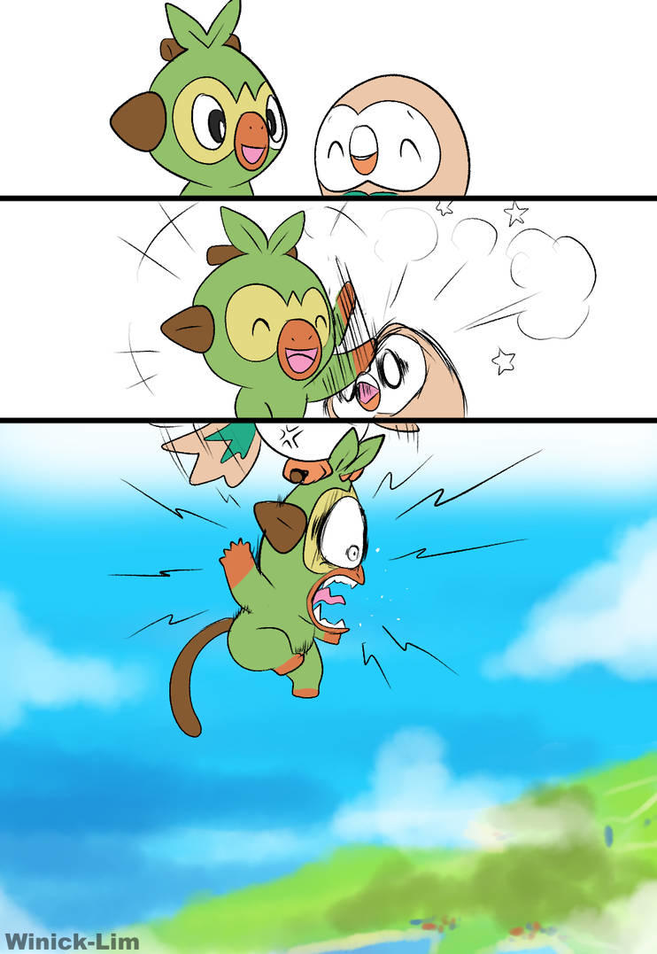 Don't Mess with Rowlet | Pokémon Sword and Shield | Know Your Meme