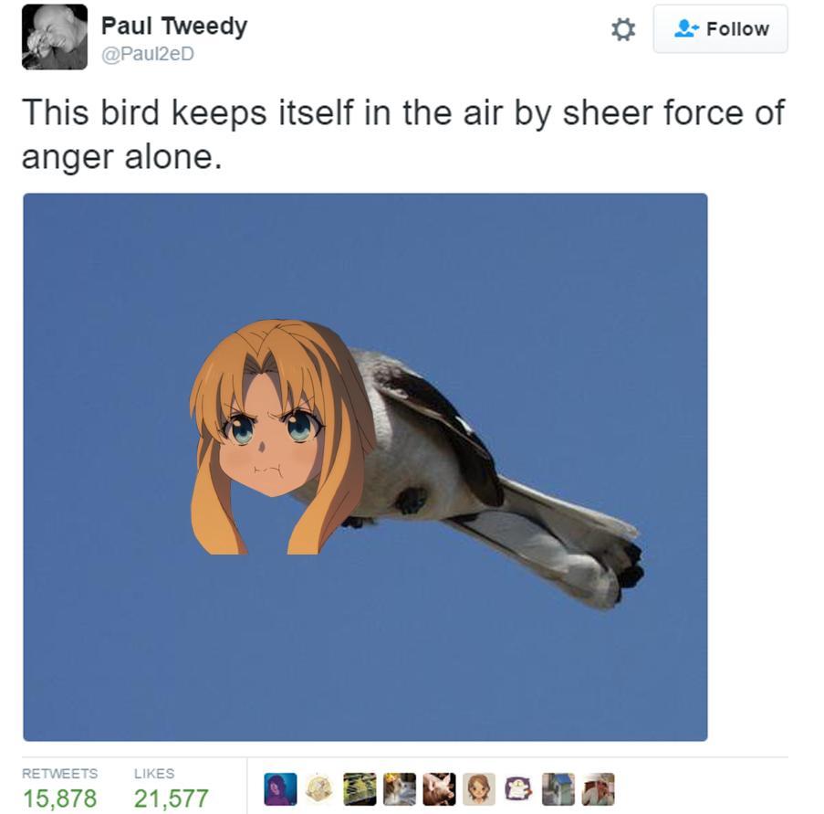 Angry birb can stay in the air for hours | This Bird Keeps Itself In ...