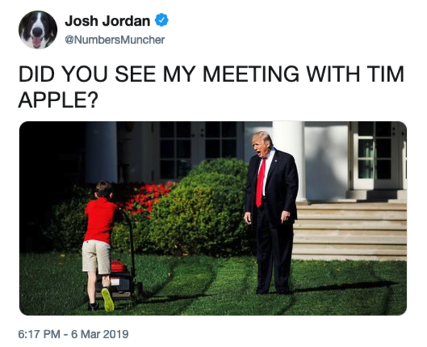 Did you? | Tim Apple | Know Your Meme