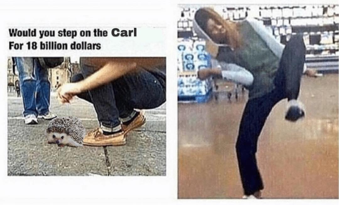 Would You Step on Carl | Carl the Hedgehog | Know Your Meme