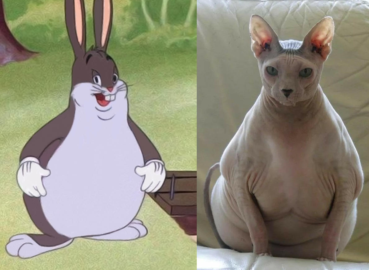 chungus | Big Chungus | Know Your Meme