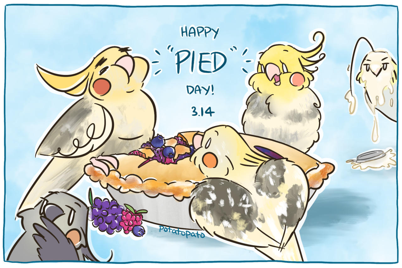 Pied 🥧 | Pi Day | Know Your Meme
