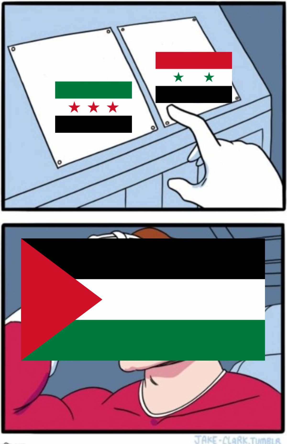 The Palestinian dilemma in the Syrian Civil War | Daily Struggle / Two ...