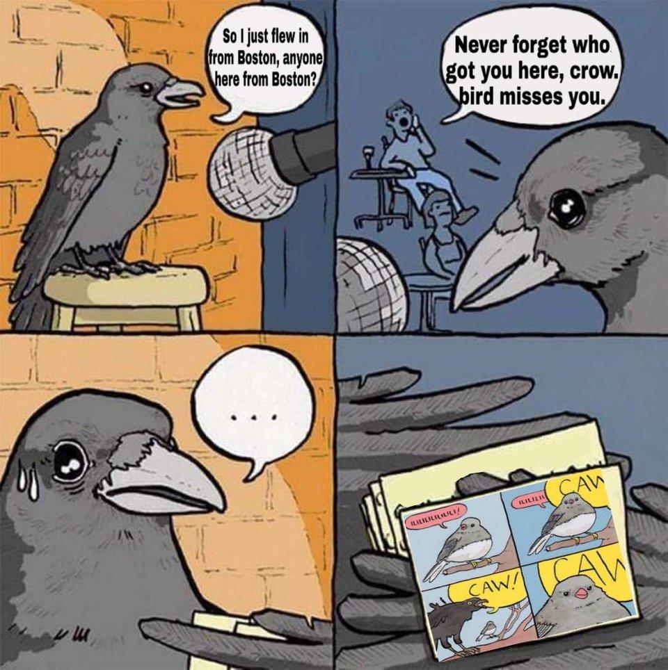 A thrilling saga | Annoyed Bird | Know Your Meme