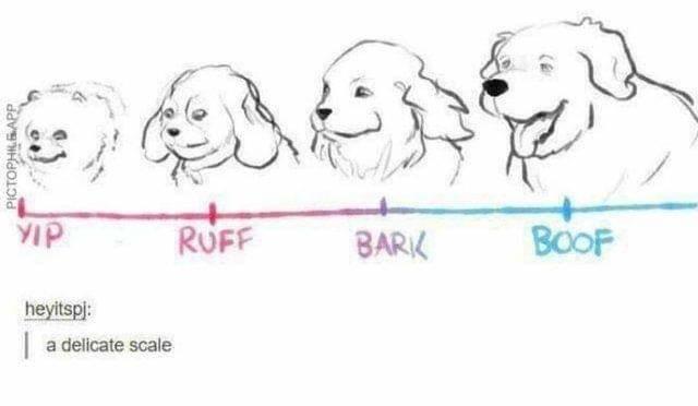 Where does "Arf" fit? | Dogs | Know Your Meme